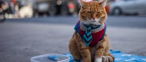 如此简单的pt plugin plus插件你竟然不会用？不懂这个，要饭你都要不到_服务软件_什么值得买