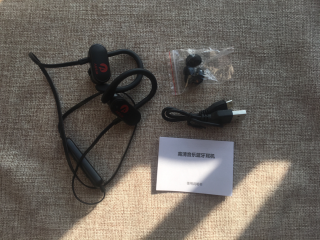 AESIR 入耳式挂耳式无线蓝牙耳机 酷黑色【报价 价格 评测 怎么样】 -什么值得买