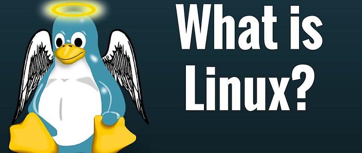 畅快玩转NAS ,常用Linux命令介绍_NAS存储_什么值得买