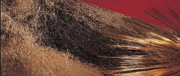 验证中心 | 什么值得买