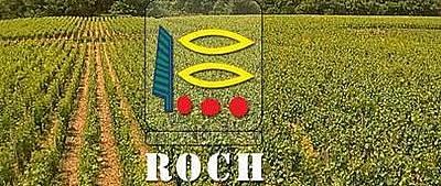 从诞生起就注定不平凡的-Domaine Prieure-Roch_葡萄酒_什么值得买