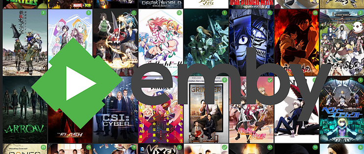 UNRAID日常解决——Docker版EMBY配TMM搜刮无演员头像解决办法_NAS存储_什么值得买