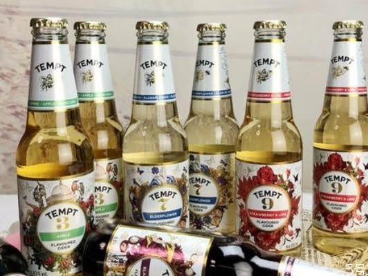 丹麦啤酒_TEMPT 诱惑 啤酒 丹麦原装进口精酿啤酒 TEMPT诱惑7号接骨木味露酒330ml*6瓶装多少钱-什么值得买