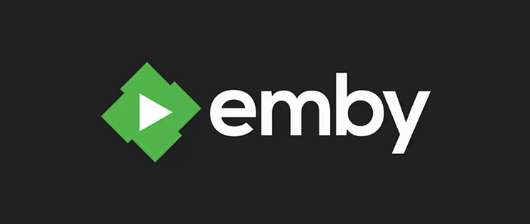 Emby 使用方法——电视剧命名（TV动画番剧同样适用）_NAS存储_什么值得买