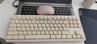 ikbc S300 87键 2.4蓝牙 双模无线机械键盘 粉咖 茶轴 无光【报价 价格 评测 怎么样】 -什么值得买