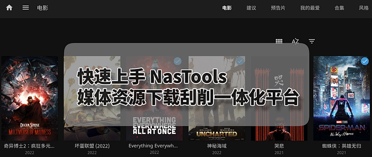 你还在手动搜索字幕吗？快来试试NasTools对接ChineseSubFinder实现中文字幕自动下载_NAS存储_什么值得买