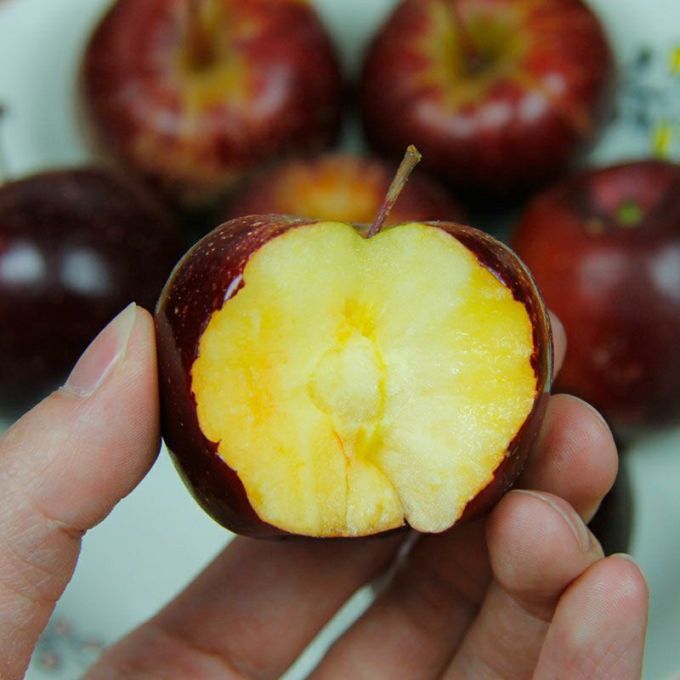 迷你苹果_什么值得买