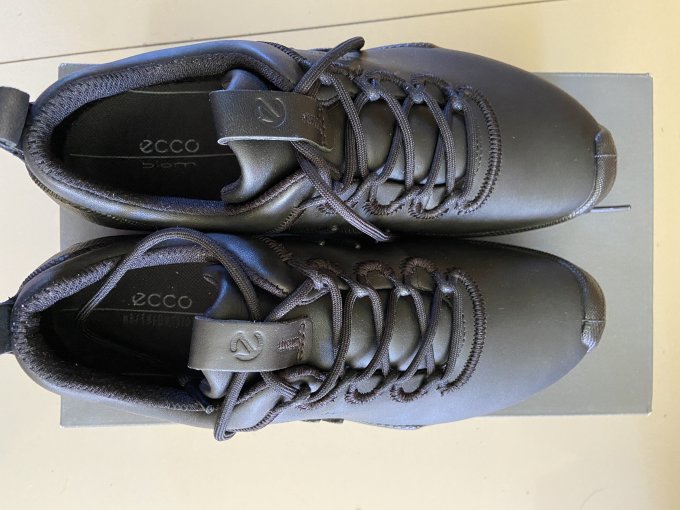 爱步跑鞋怎么样 海淘ECCO 爱步 Biom Aex Luxe Hydromax_什么值得买