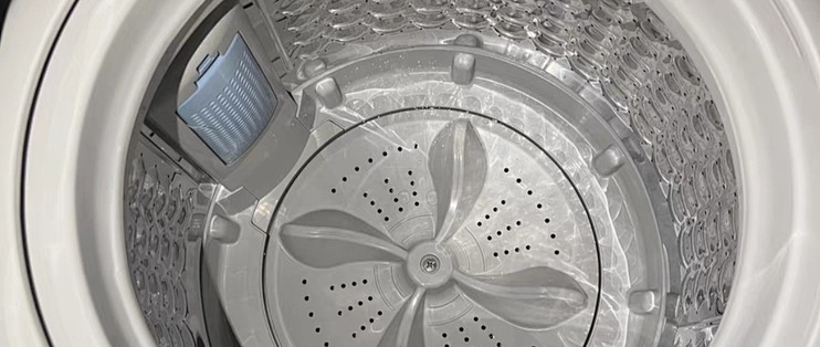 TCL XQB55-36SP 小型波轮节能全自动5.5公斤洗衣机_波轮洗衣机_什么值得买