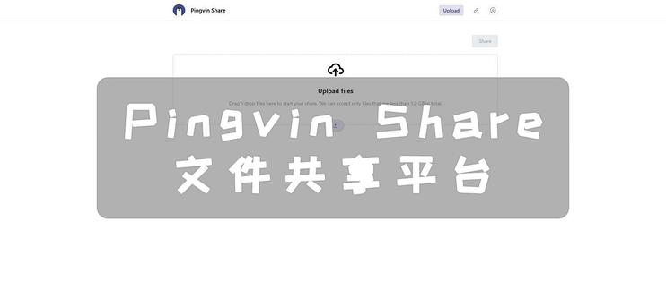 UNRAID篇！Pingvin Share文件共享平台_办公软件_什么值得买