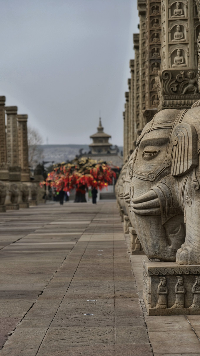 松下无反镜头怎么样 松下S5+24-105就是全副相机里的万金油_什么值得买