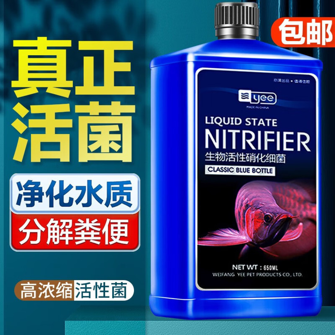 养鱼从哪里开始？跟我来，学会这4招，养得一缸漂亮鱼_水族_什么值得买