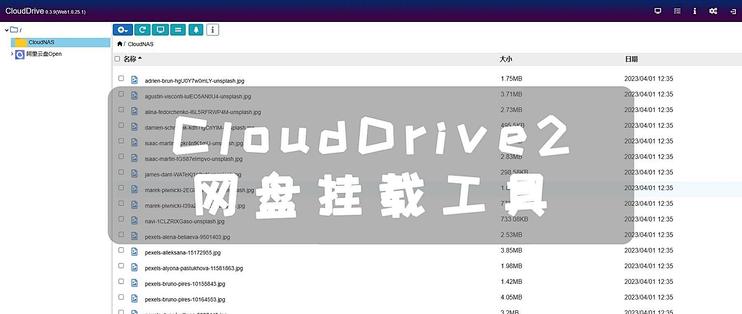 UNRAID篇！CloudDrive2网盘挂载工具_NAS存储_什么值得买
