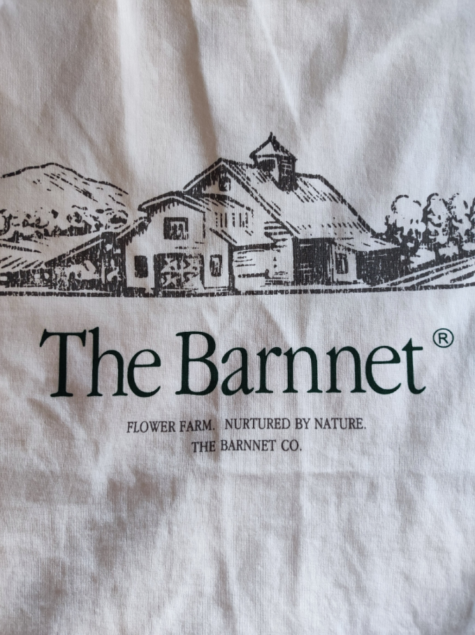 the Barnnet 女款T恤衫_什么值得买