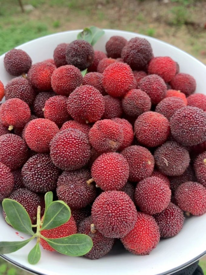 酸酸甜甜的杨梅蛋糕 安排！_什么值得买