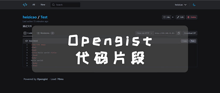 UNRAID篇！搭建Opengist代码片段_NAS存储_什么值得买
