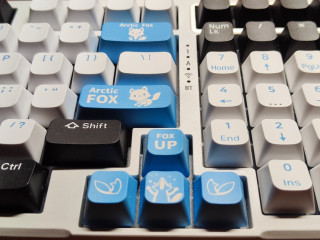 VGN V98 Pro 97键 2.4G蓝牙 多模无线机械键盘 极地限定款 极地狐轴 RGB【报价 价格 评测 怎么样】 -什么值得买