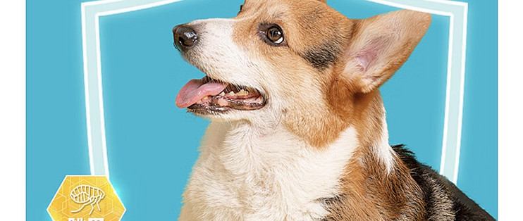 雷米高（RAMICAL）驱虫药狗狗体外猫咪驱虫滴剂宠物跳蚤药打虫药贝宠安非泼罗尼_猫犬通用驱虫_什么值得买