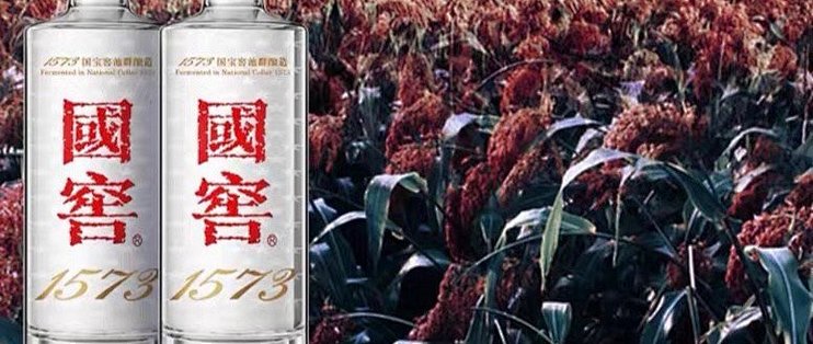 国窖 1573 蓝调礼盒：送礼必备，2 瓶 500ml 大瓶装，口感绝佳!_白酒_什么值得买