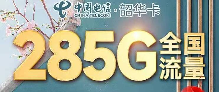 超大流量满分性价比【29元285G】电信韶华卡（长期）_运营商_什么值得买