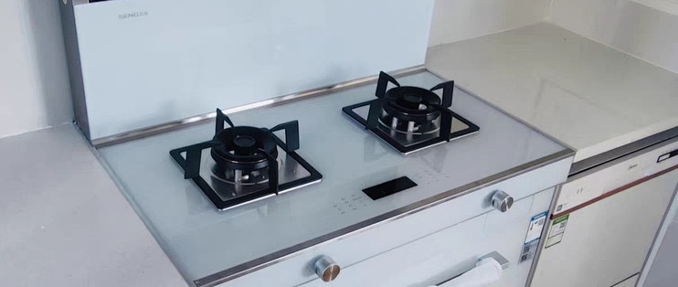 SENG 森歌 海豚系列L1ZK蒸烤一体集成灶家用一体灶大火力单向排烟_微蒸烤一体机_什么值得买