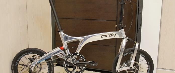今天的主角NEW BIRDY R 11SP_折叠车_什么值得买