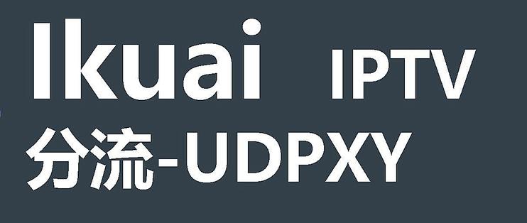 丢掉盒子，Ikuai+udpxy_电视盒子_什么值得买