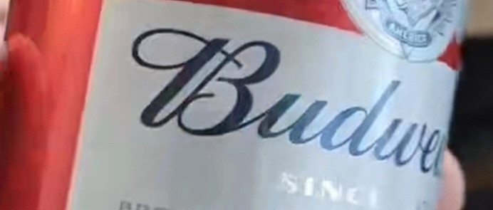 百威拉格啤酒经典255ml*24听小罐mini罐啤酒整箱装_工业啤酒_什么值得买