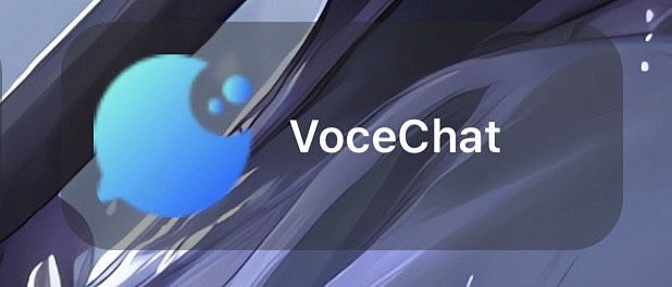 一个便捷高效的即时通讯工具-VoceChat _网络存储_什么值得买