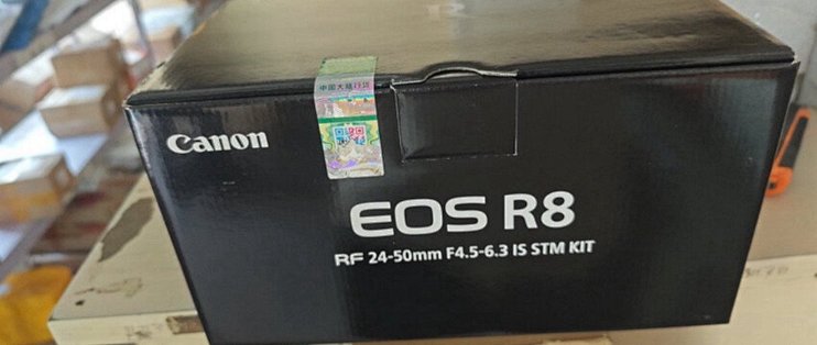 佳能EOS R8 vs EOS R6：性能、价格与性价比全解析，哪款更适合你？_单电相机_什么值得买