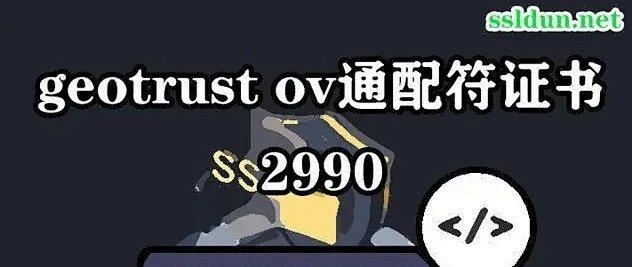 geotrust ov通配符证书2990_网络存储_什么值得买