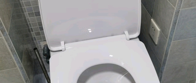 九牧（JOMOO）11396-2-1/31KB-1抗菌一级水效坐便器暴风虹吸式节水马桶305坑距_马桶_什么值得买