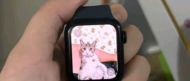 Apple Watch SE 2024：智能与简约的完美结合_智能手表_什么值得买