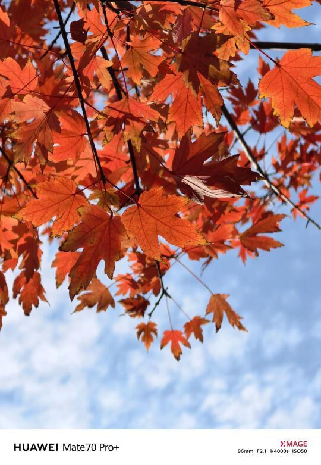 iPhone16ProMax vs 华为Mate70Pro+ 深度对比：性能、影像、系统、续航全面解析_手机_什么值得买