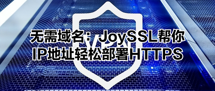 无需域名：JoySSL帮你IP地址轻松部署HTTPS_网络存储_什么值得买