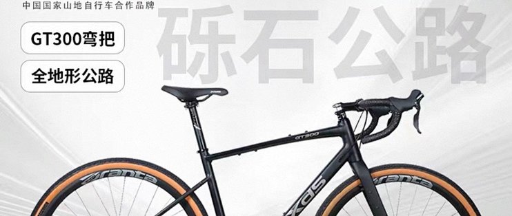 喜德盛gt300_骑行运动_什么值得买