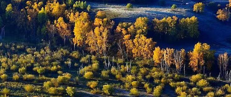 Sucrose Wallpaper Engine——开源免费，为桌面注入灵动之美！_办公软件_什么值得买